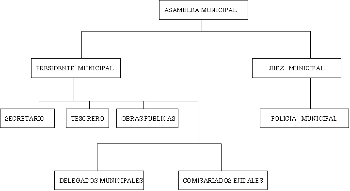 ESTRUCTURA DEL PODER OFICIAL EN ALFAJAYUCAN